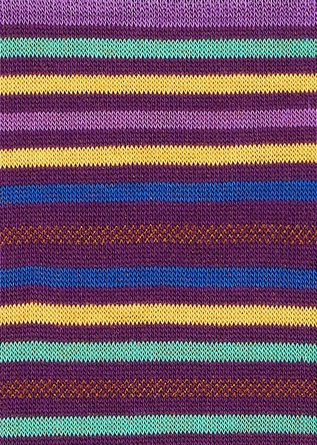 Purple Multi-Stripe Socks