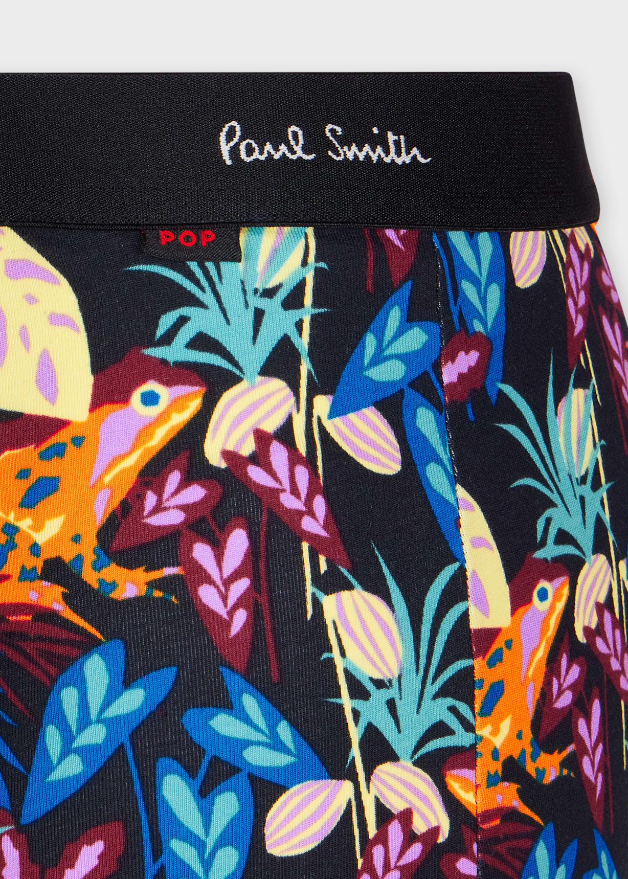 'Frog' Print Boxer Briefs