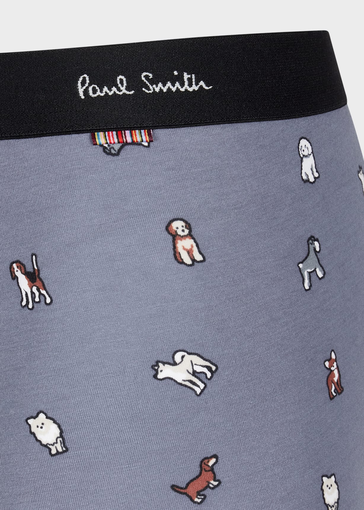 Men's Light Blue 'Japan Dogs' Print Boxer Briefs