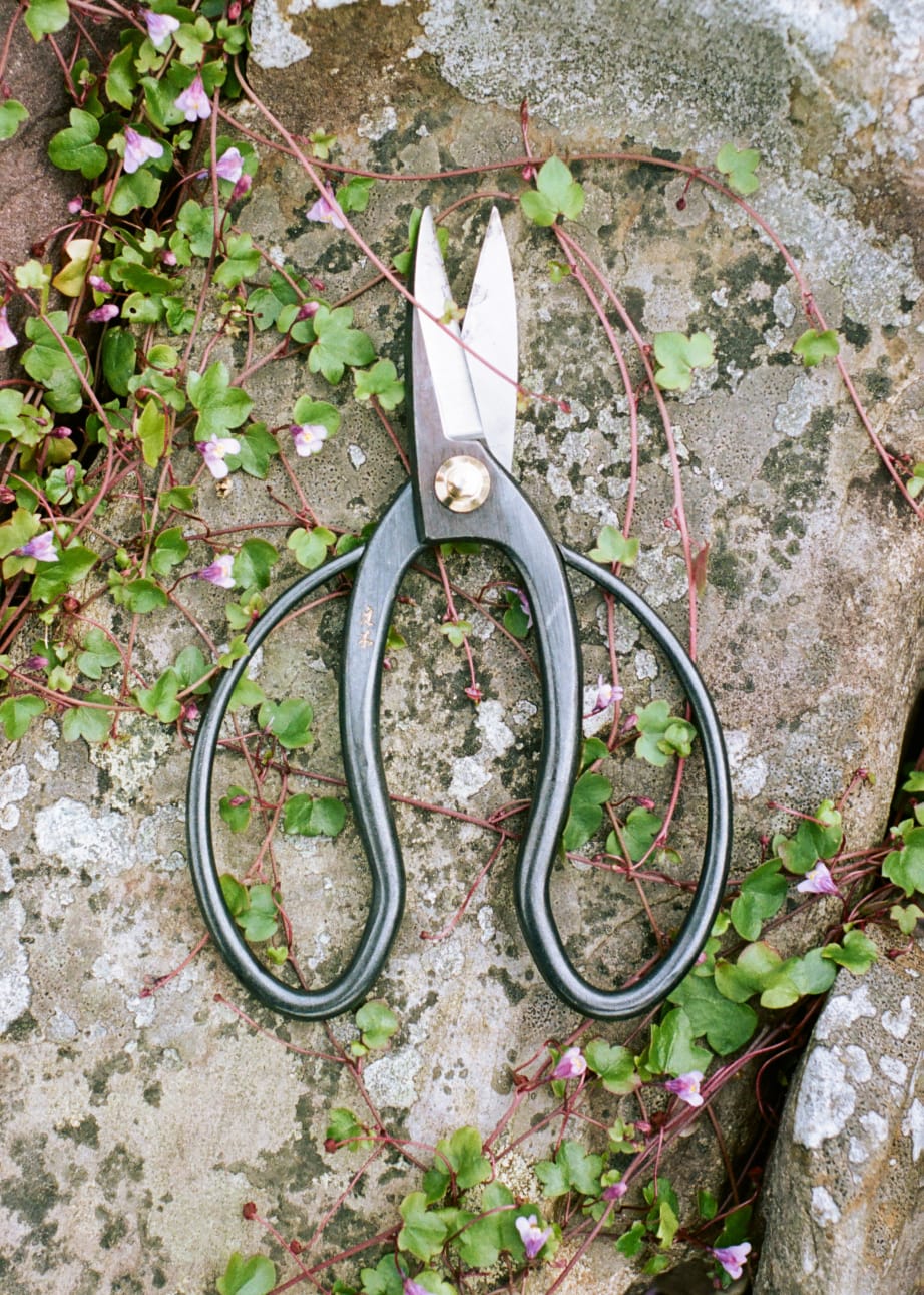 Paul Smith + Niwaki - Higurashi Scissors
