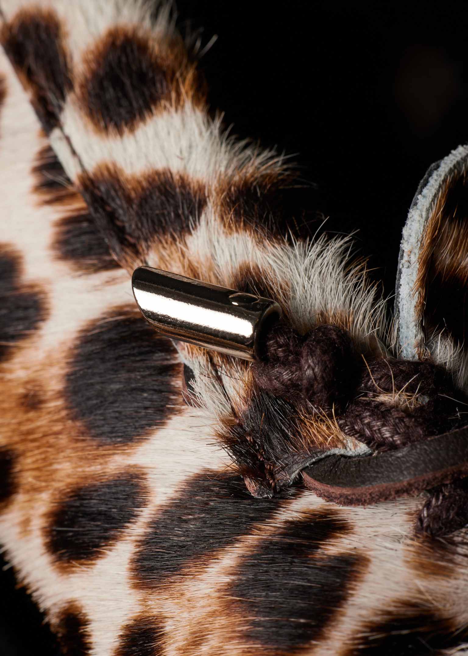 Women's 'Sonna' Leopard Print Faux Pony Moccasins