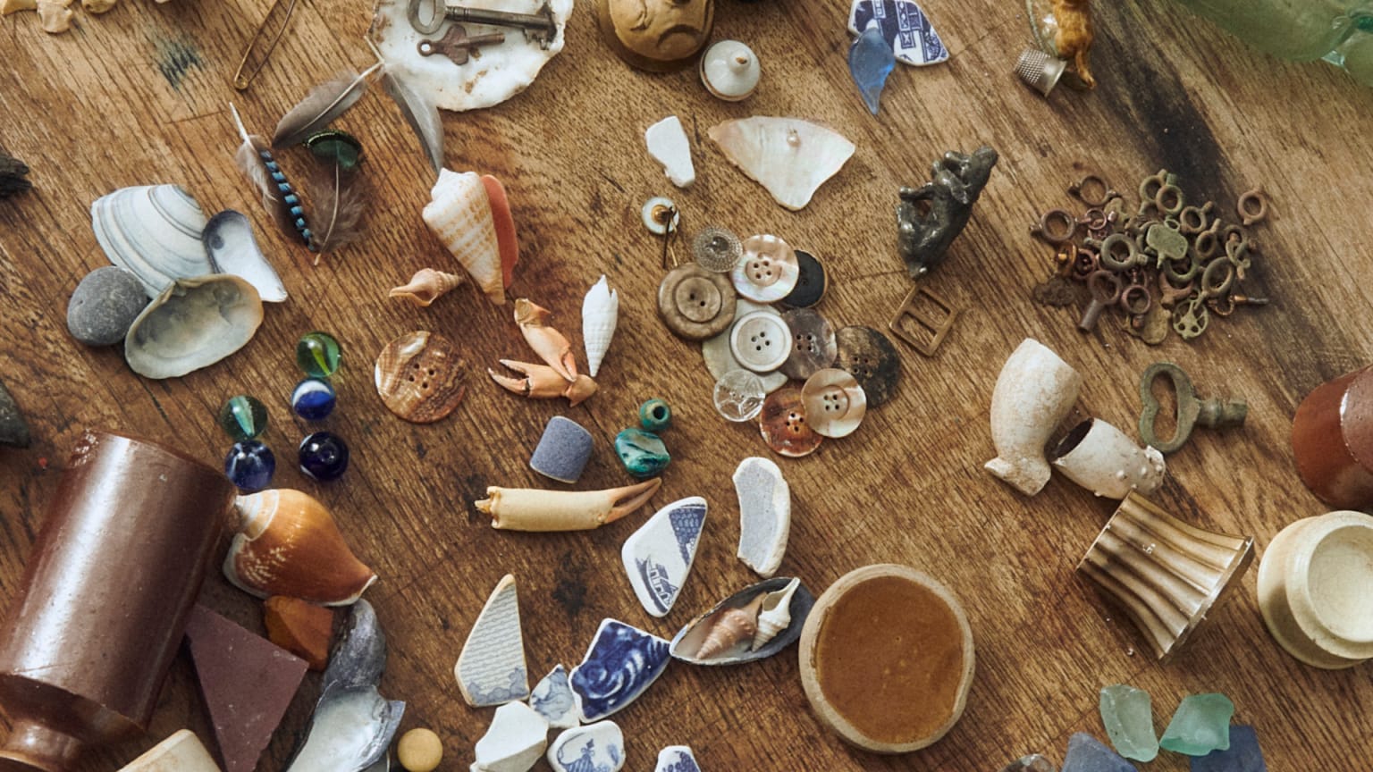 Red Ear: A Shore Thing