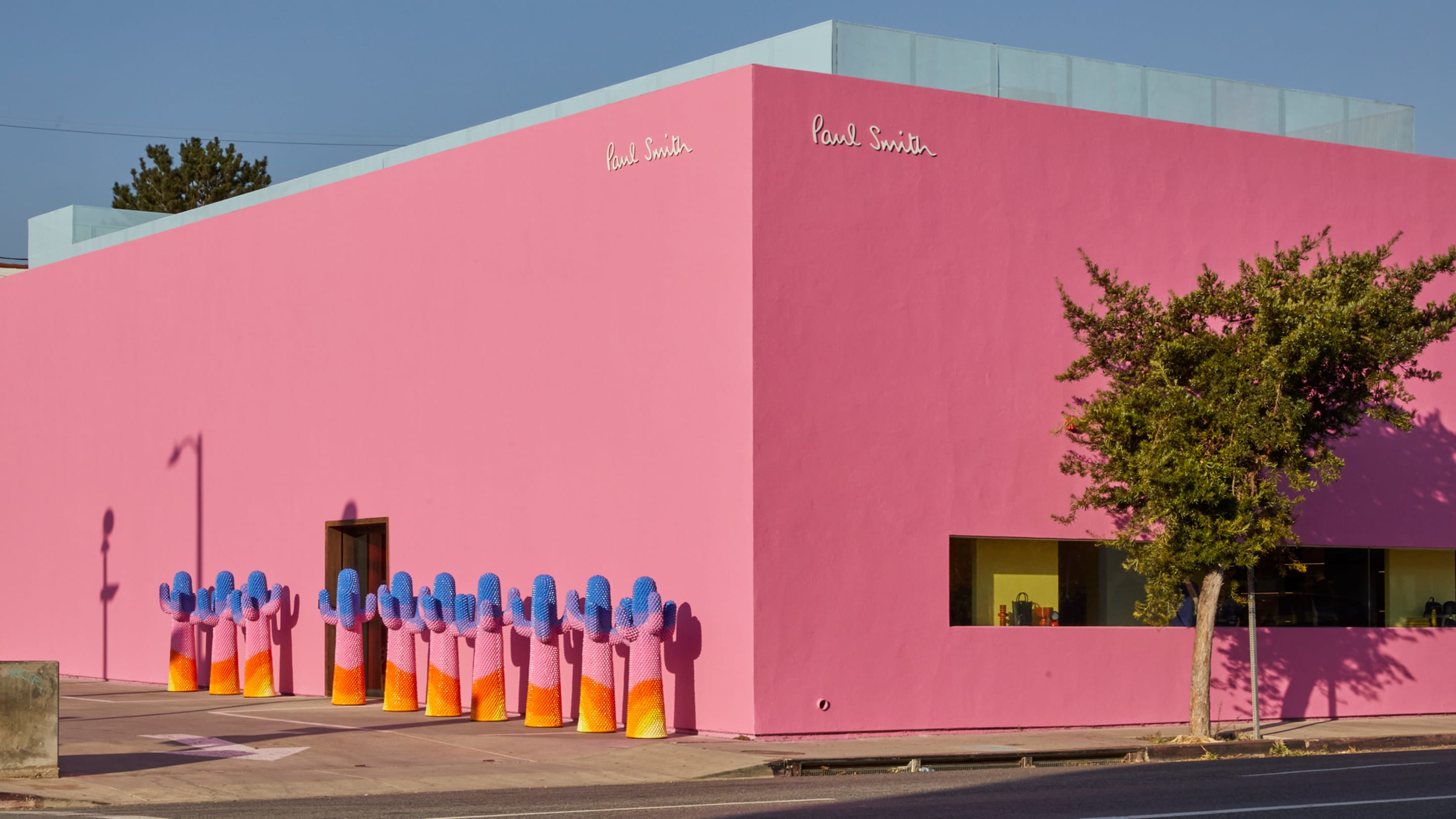 Paul Smith X Gufram : The Sunrise Cactus