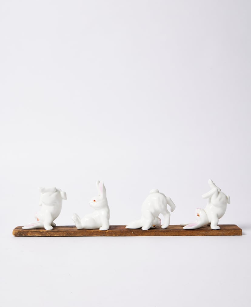 The Year Of The Rabbit: Paul’s Bunny Collection